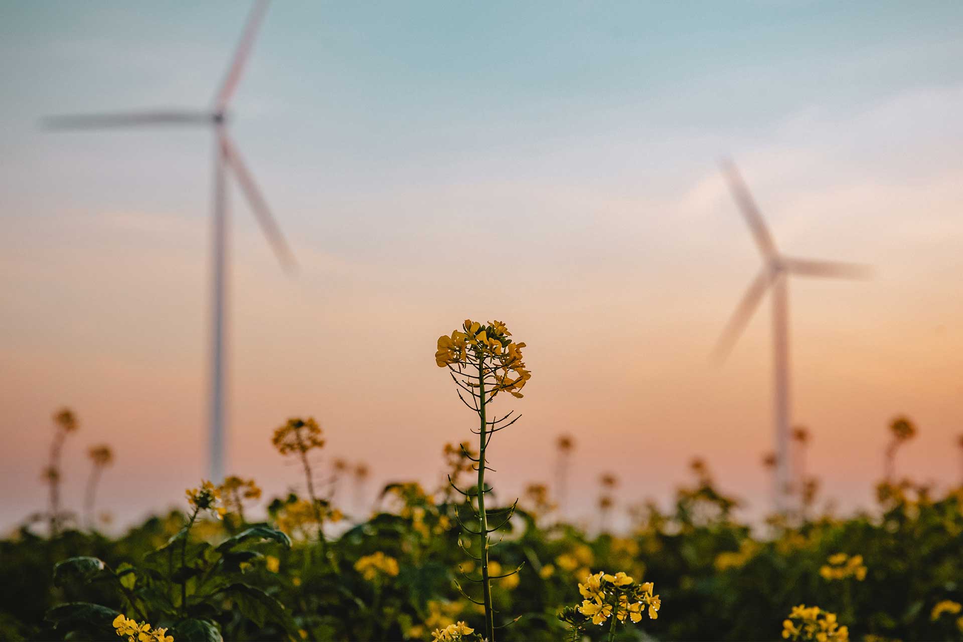 Property, Renewable Energy & Investment | Boultbee Brooks