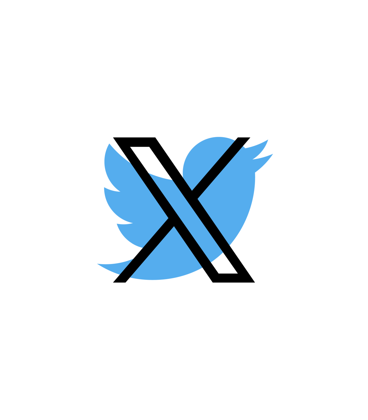 The Art of Reinvention: Lessons from Twitter's Recent Rebranding