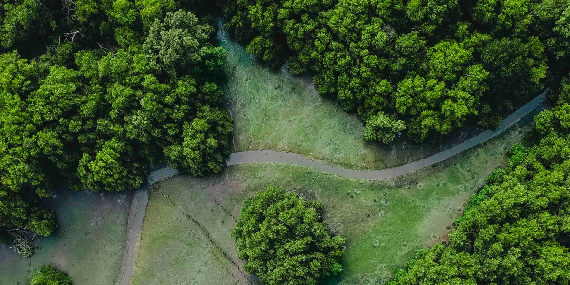 ClimatePilot - Sustainable partnerships