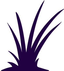 Trust Management Platform