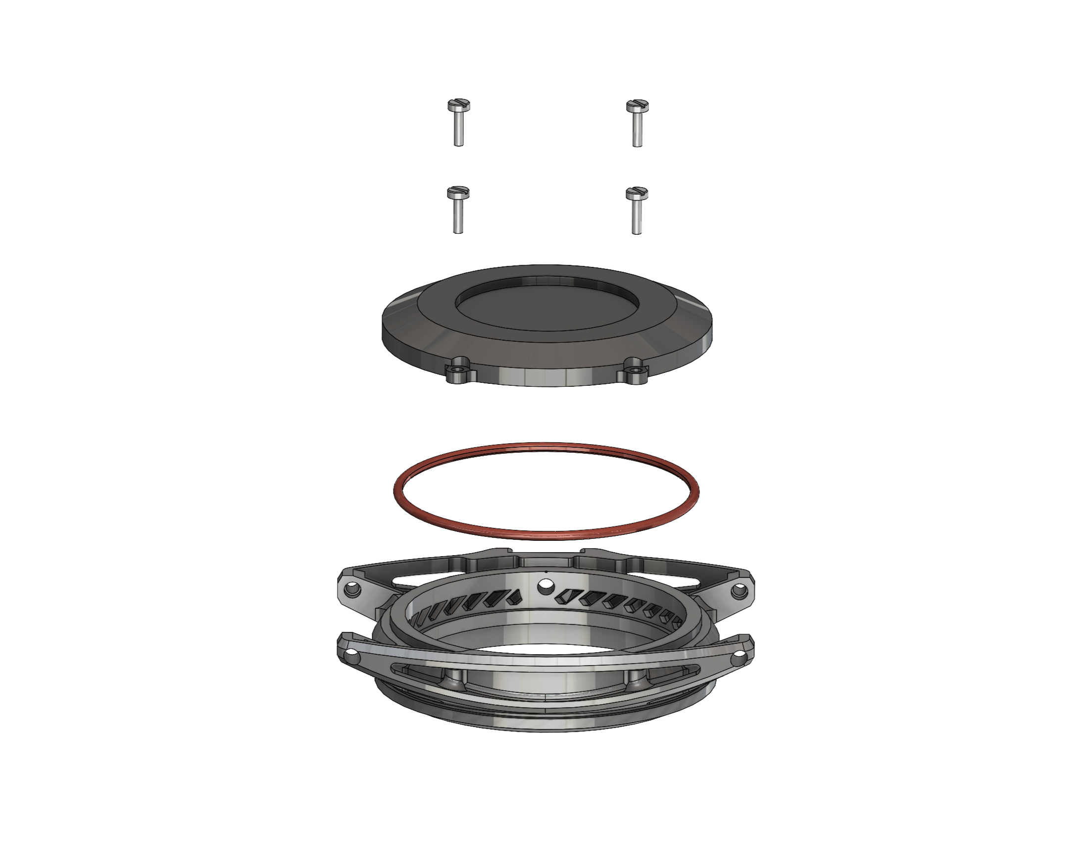 News - T-08: Caseback