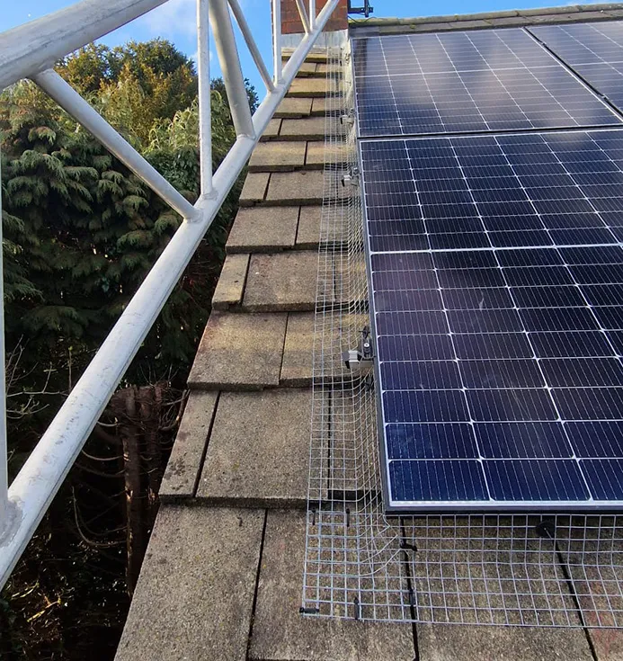 Bird Protection for Solar Panels in Sussex