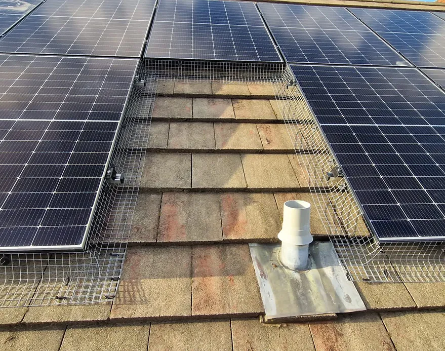 Bird Protection for Solar Panels in Sussex