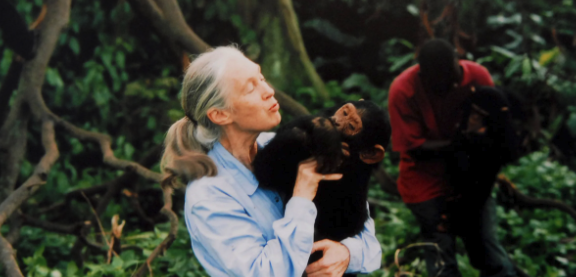 Jane Goodall: een leven gewijd aan de bescherming van Moeder Aarde