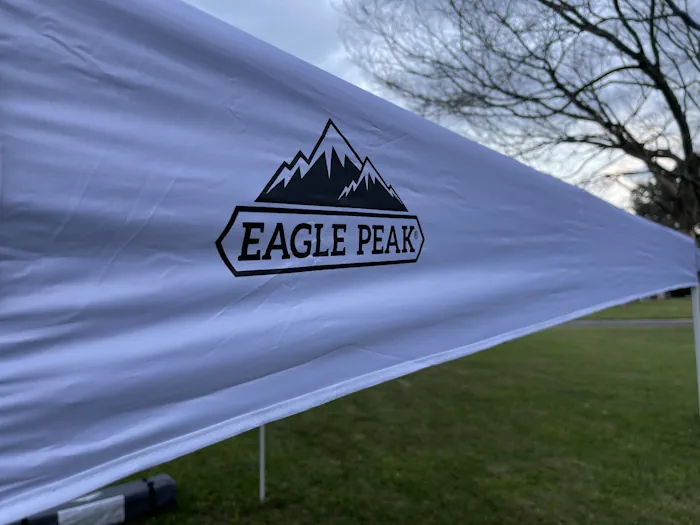ABC Canopy 10x10 Review