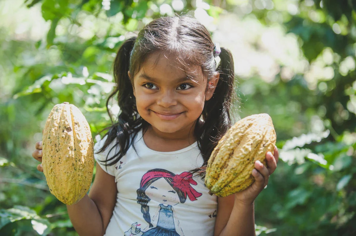 Case Study - Christian Aid Charity Gifts | Kubix