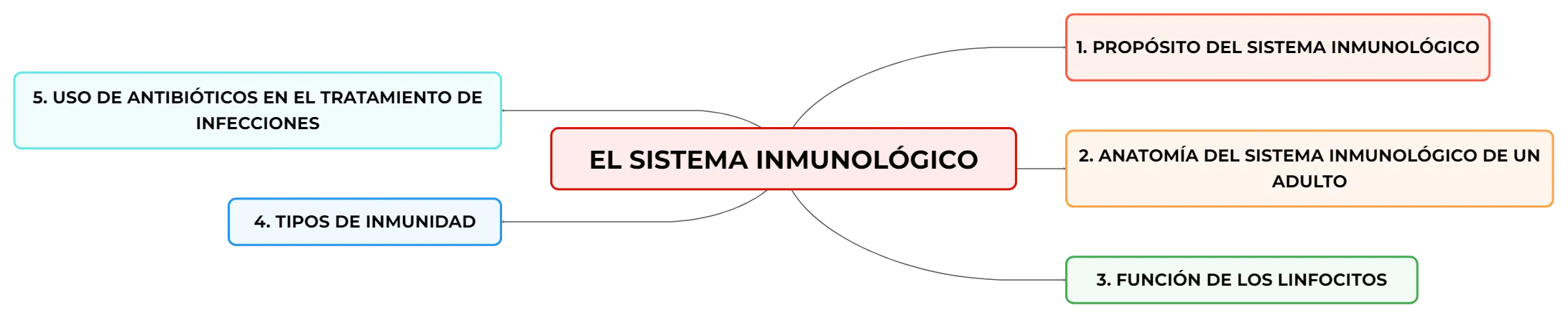 Mapa Del Sistema Inmunologico