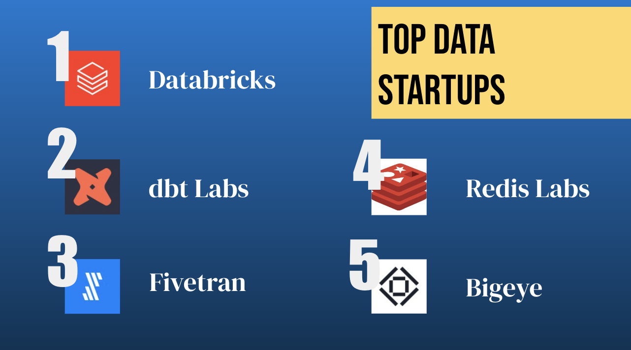 Top Data Startups 2024