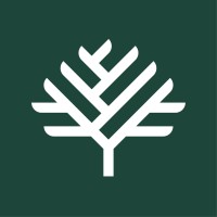 Boring Business Nerd