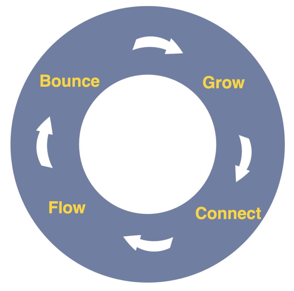 Resilience Institute | What is Resilience?