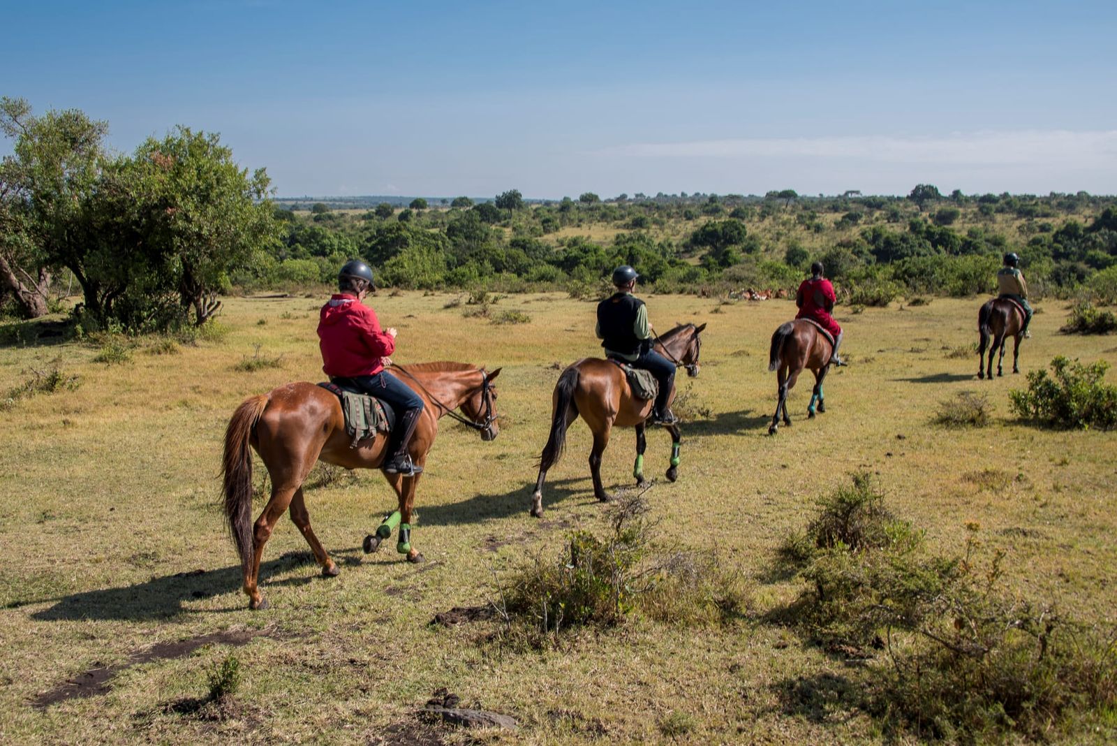 Horse Riding Safari | Kilima Camp Maasai Mara