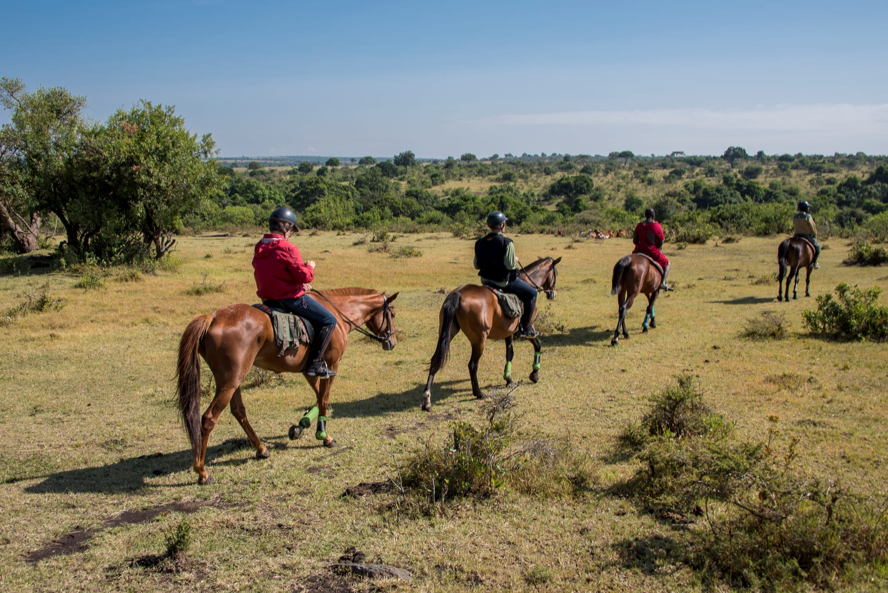 Horse Riding Safari | Kilima Camp Maasai Mara