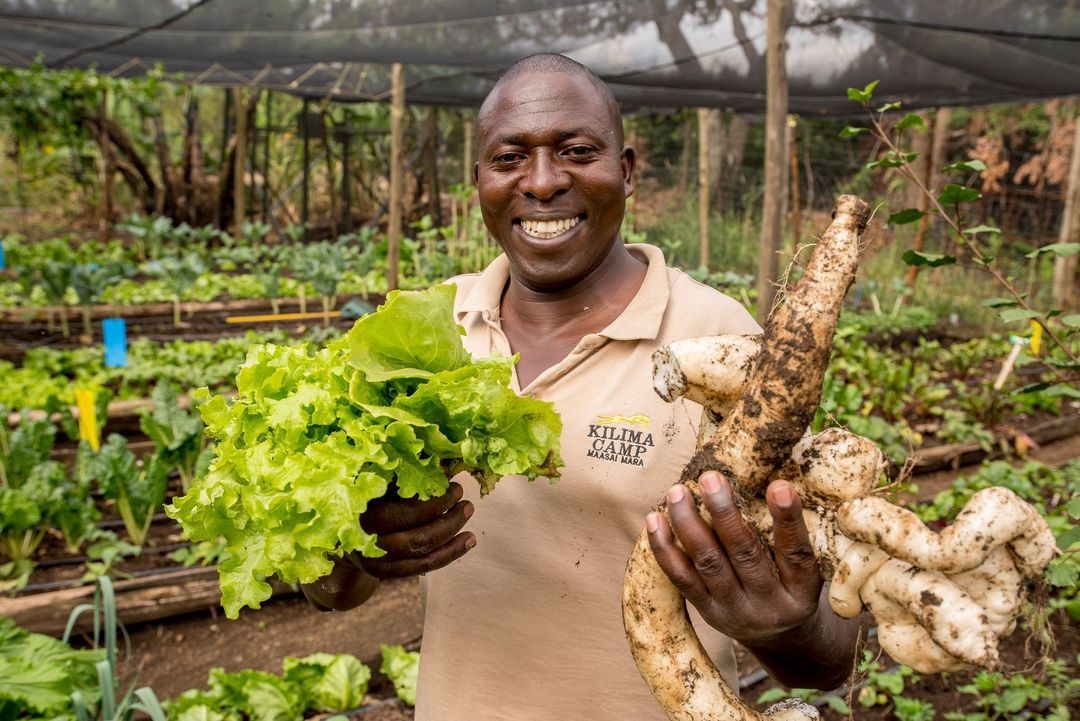 Kilima Camp | Exceptional Facilities for an Unforgettable Stay in the ...