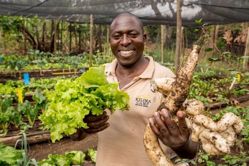 Kilima Camp | Exceptional Facilities for an Unforgettable Stay in the ...