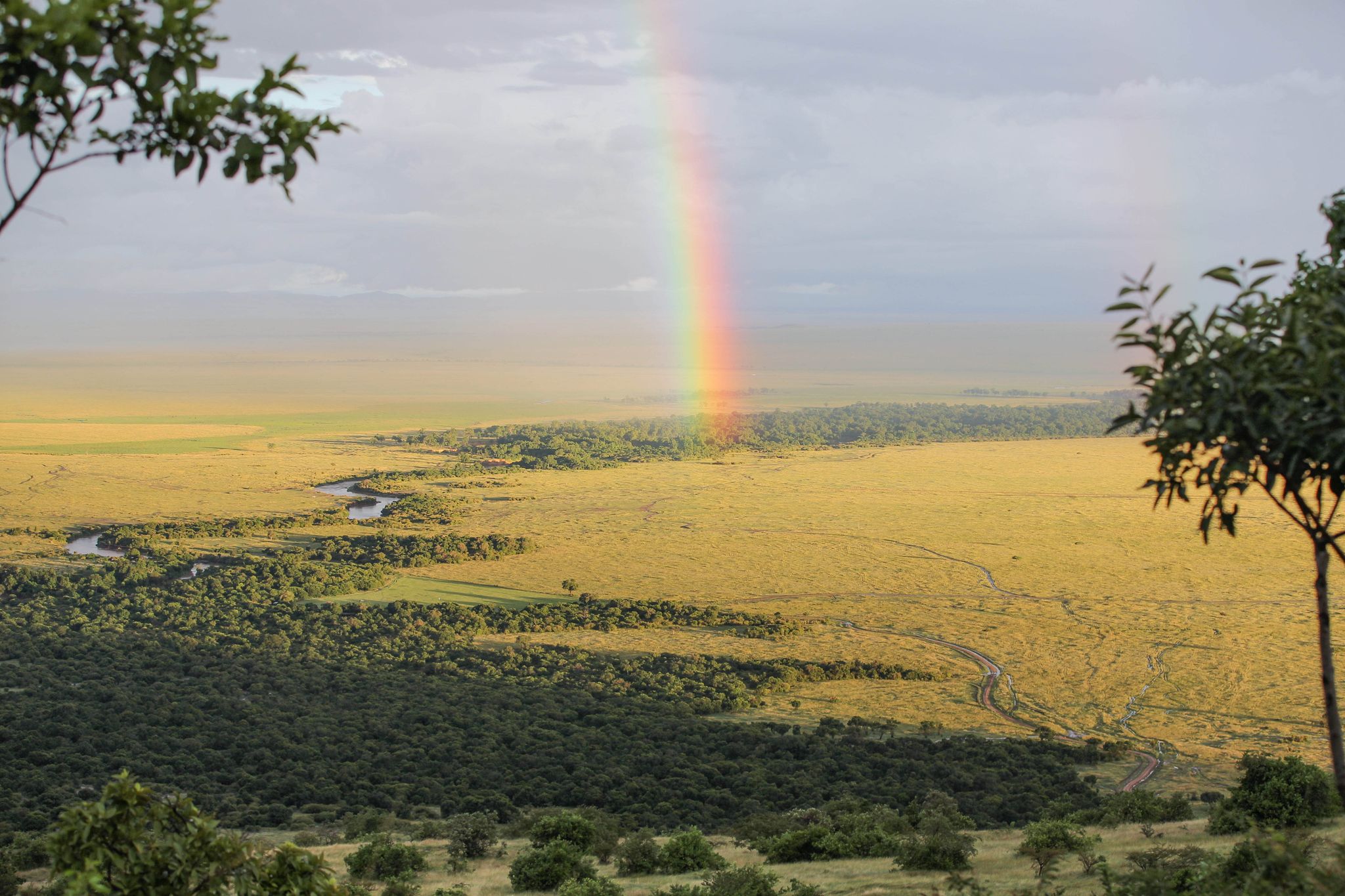 Kilima Camp | Exceptional Facilities for an Unforgettable Stay in the ...