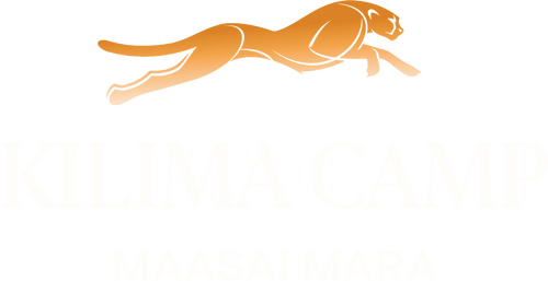 Kilima Camp | A Luxurious Eco-Lodge in the Heart of Maasai Mara