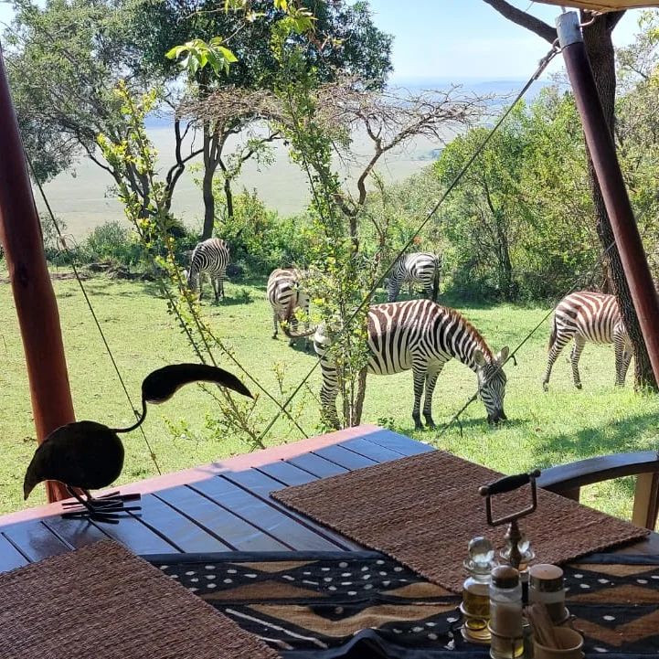 Kilima Camp | A Luxurious Eco-Lodge in the Heart of Maasai Mara