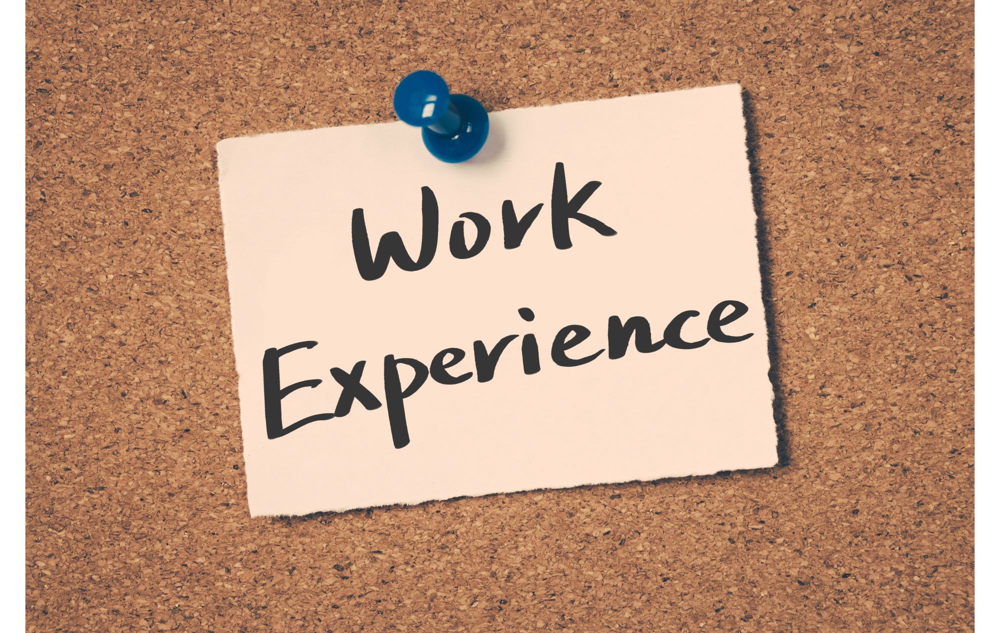 Clarity support of Work Experience Students – “bring your child to work ...