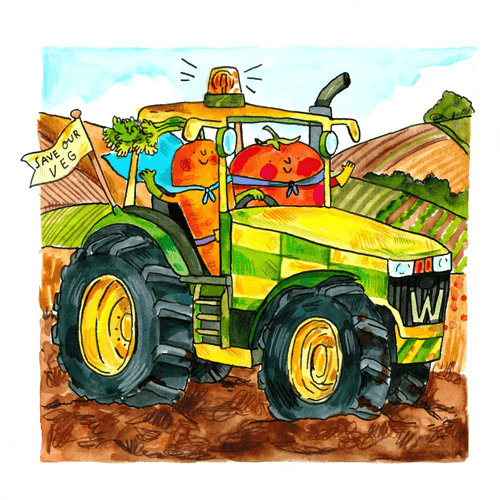 How Wonky Box (Fruit & Veg Delivery) Works? | Wonky Box