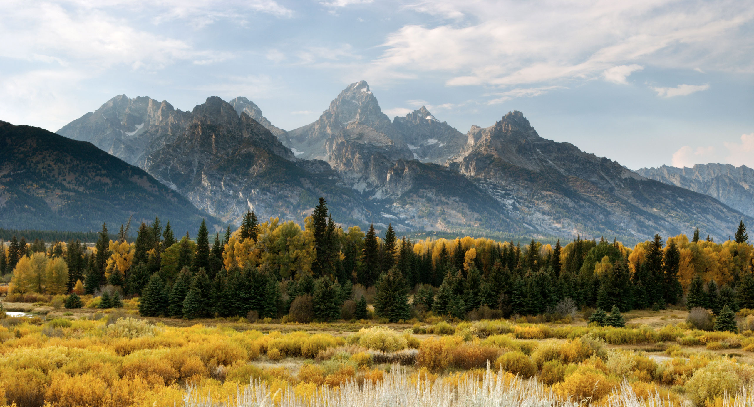 The Professor Retirement System