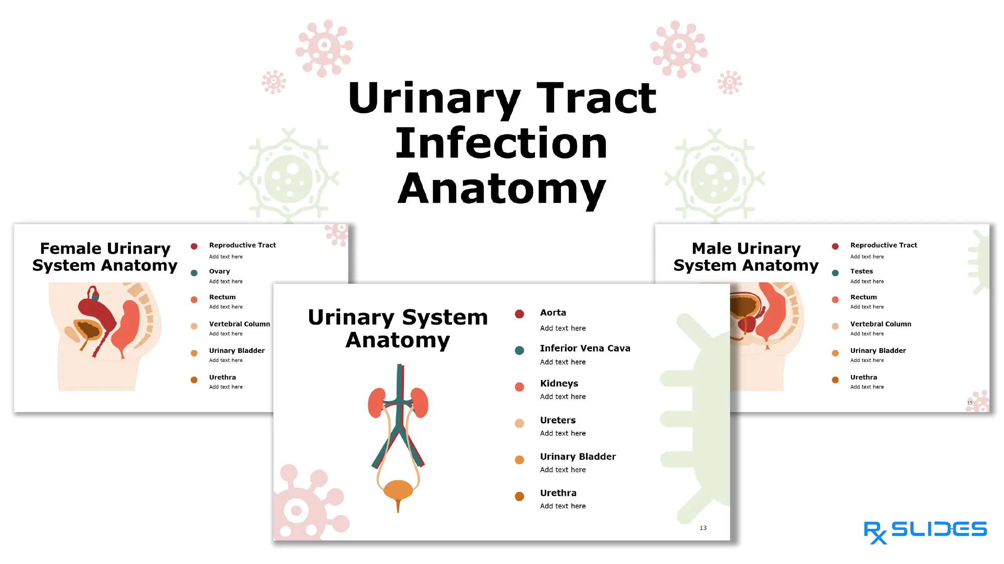 Download Urinary Tract Infections PowerPoint Template| RxSlides