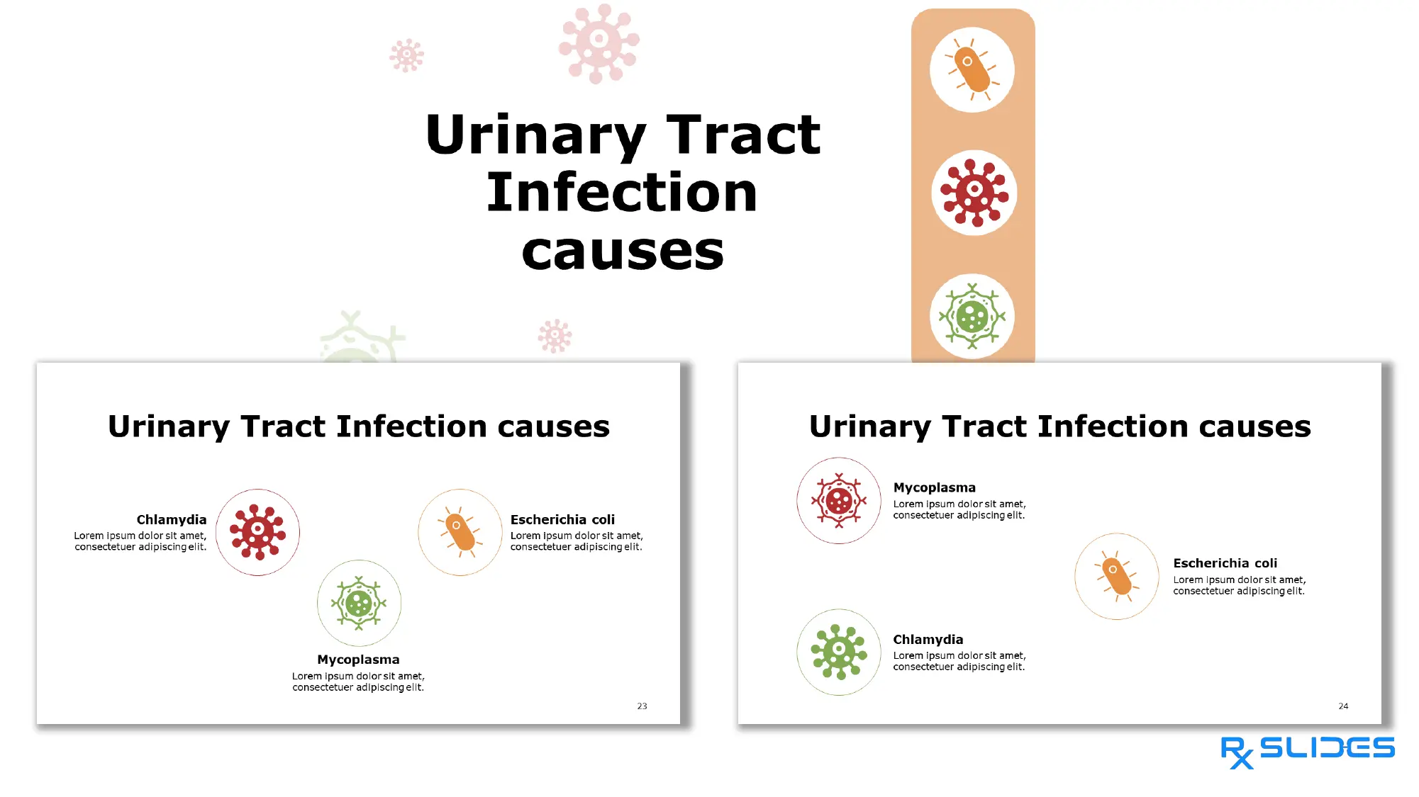 Download Urinary Tract Infections PowerPoint Template| RxSlides