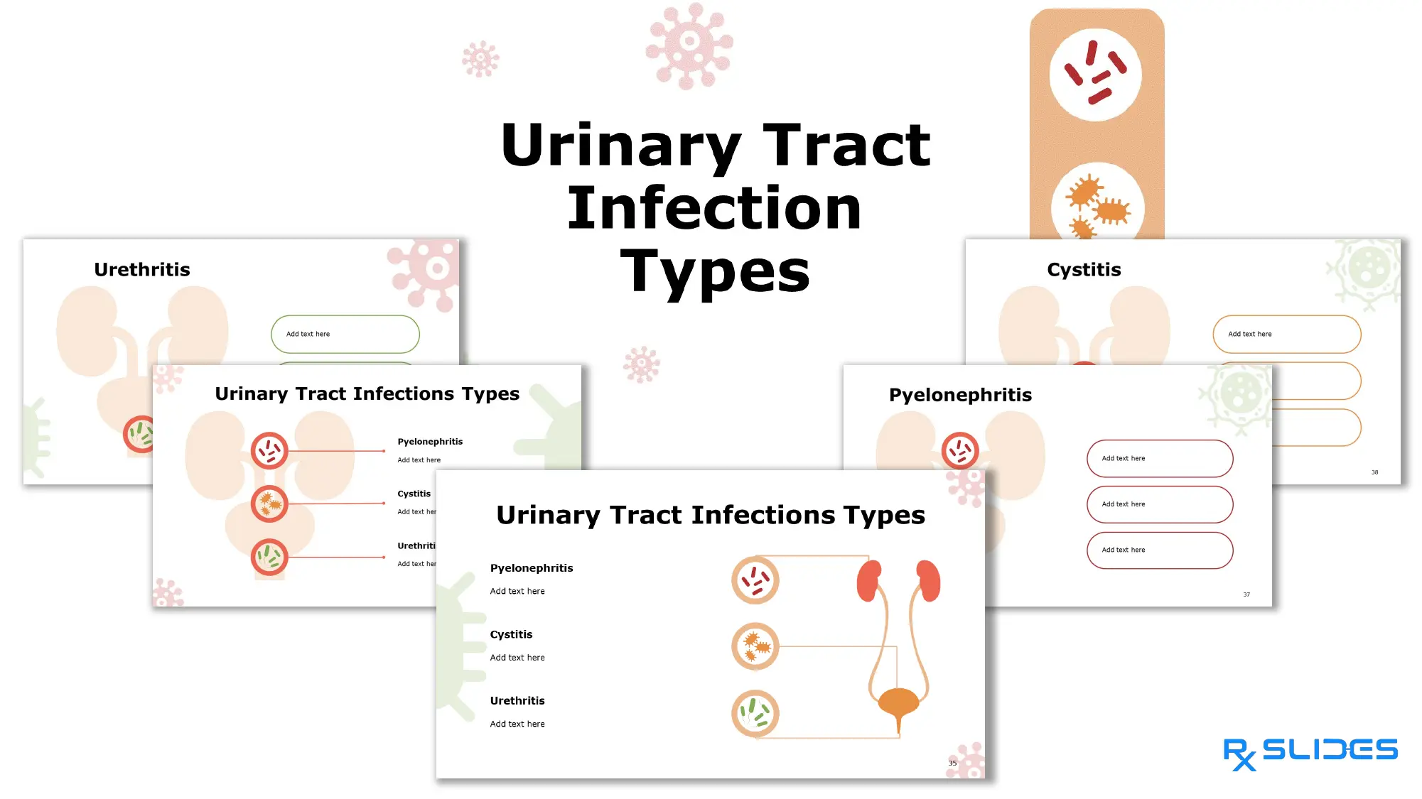 Download Urinary Tract Infections PowerPoint Template| RxSlides