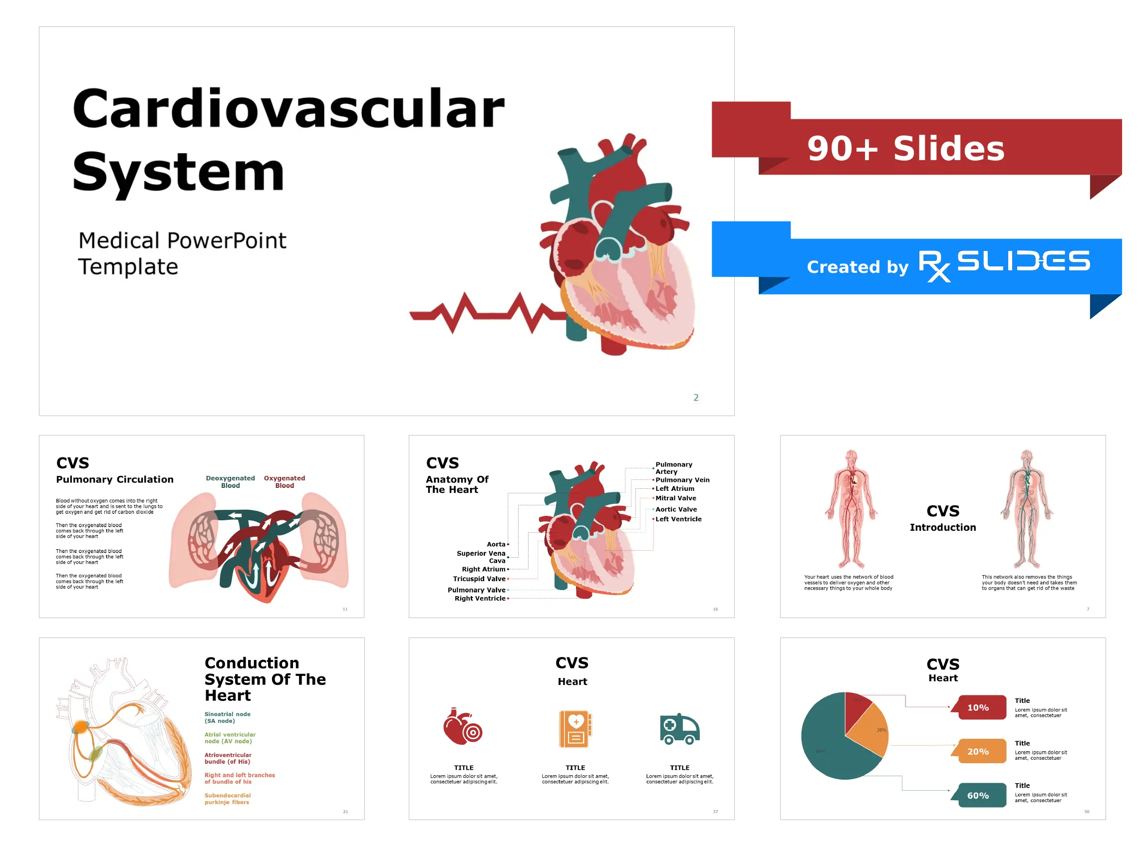 Download Cardiovascular system anatomy and physiology PowerPoint ...