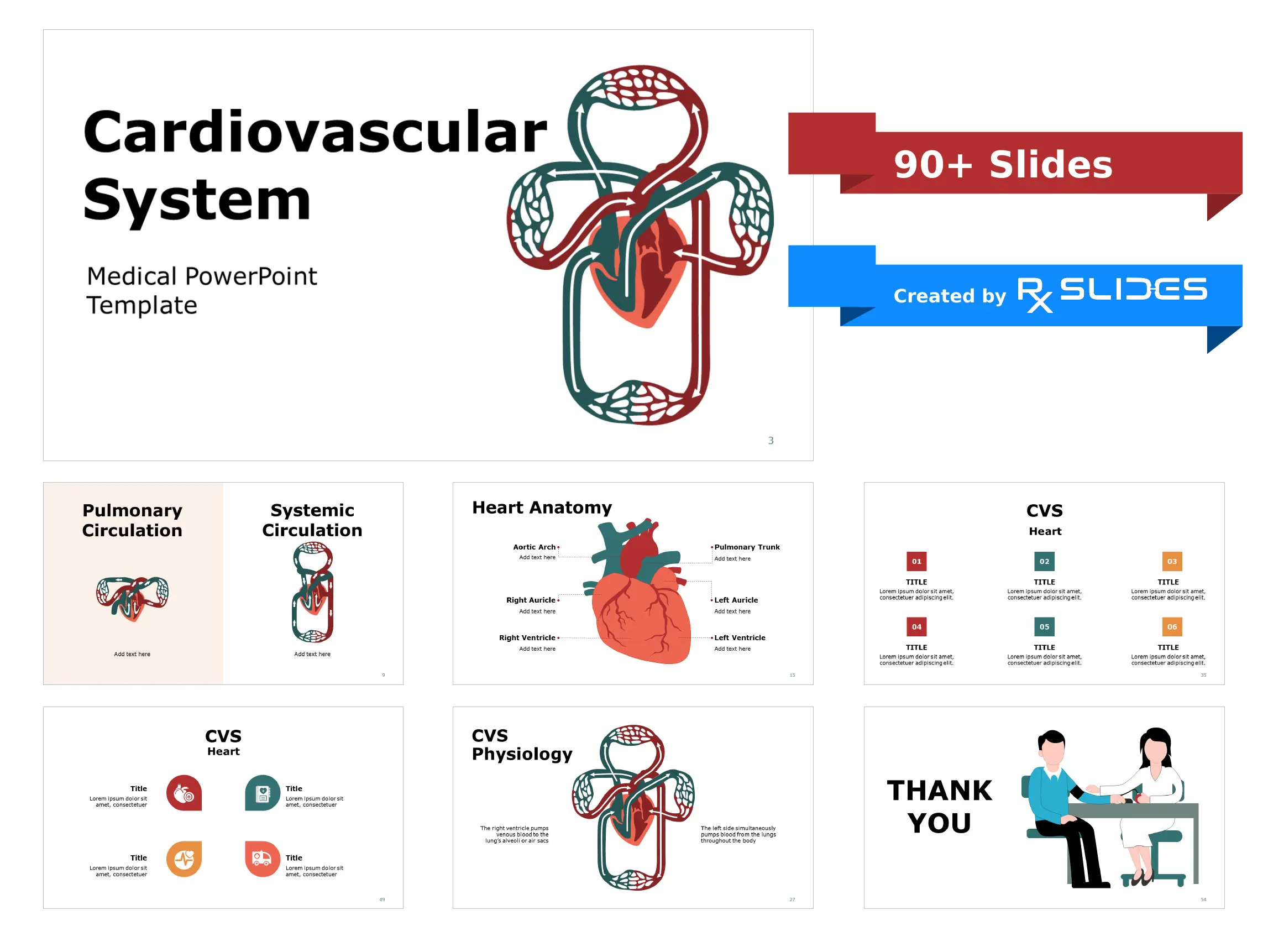 Download Cardiovascular system anatomy and physiology PowerPoint ...