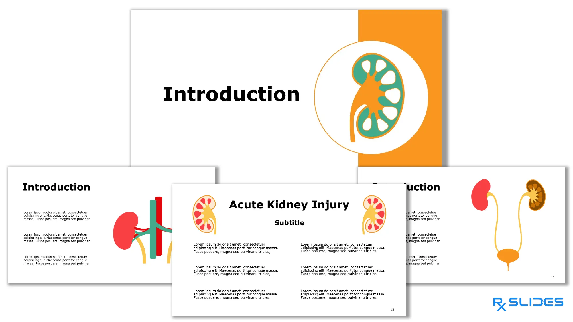 Download Chronic kidney Disease PowerPoint Template|RxSlides