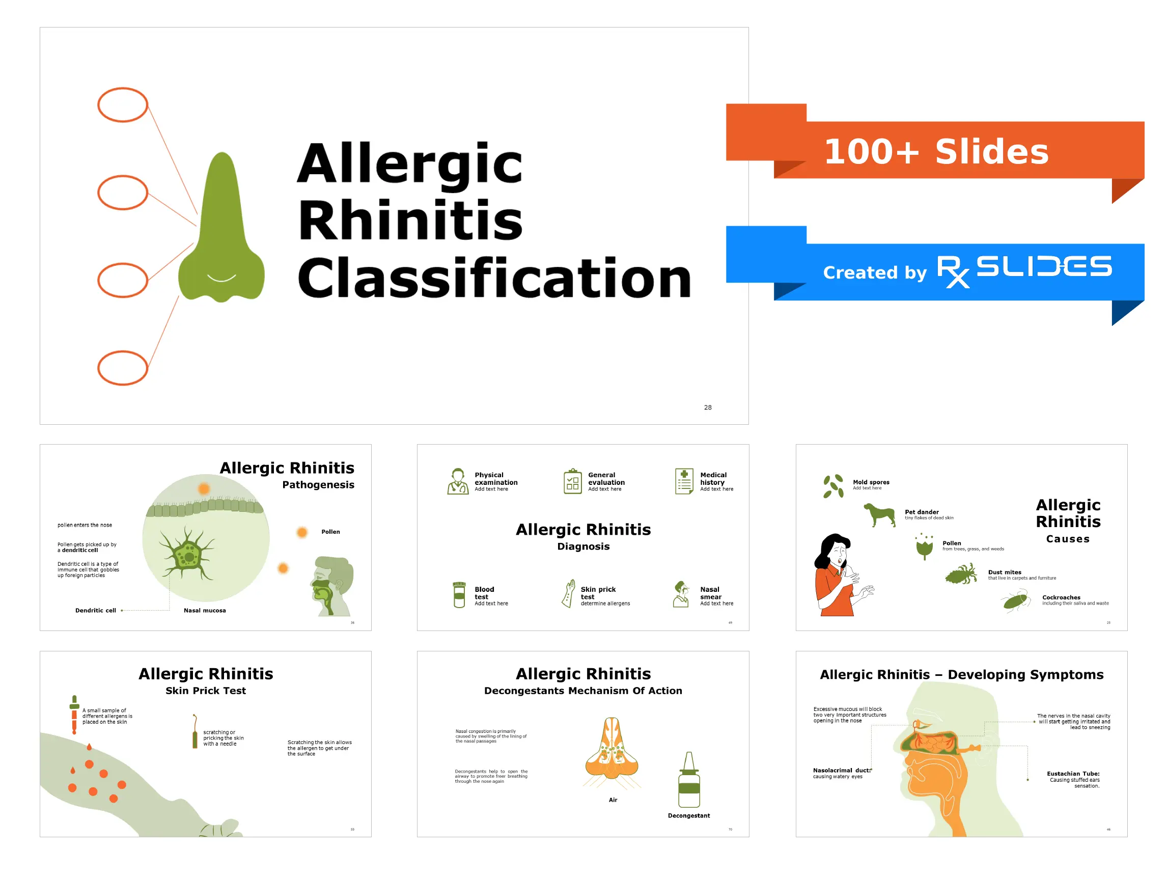 Download Allergic Rhinitis Presentation Template| RxSlides