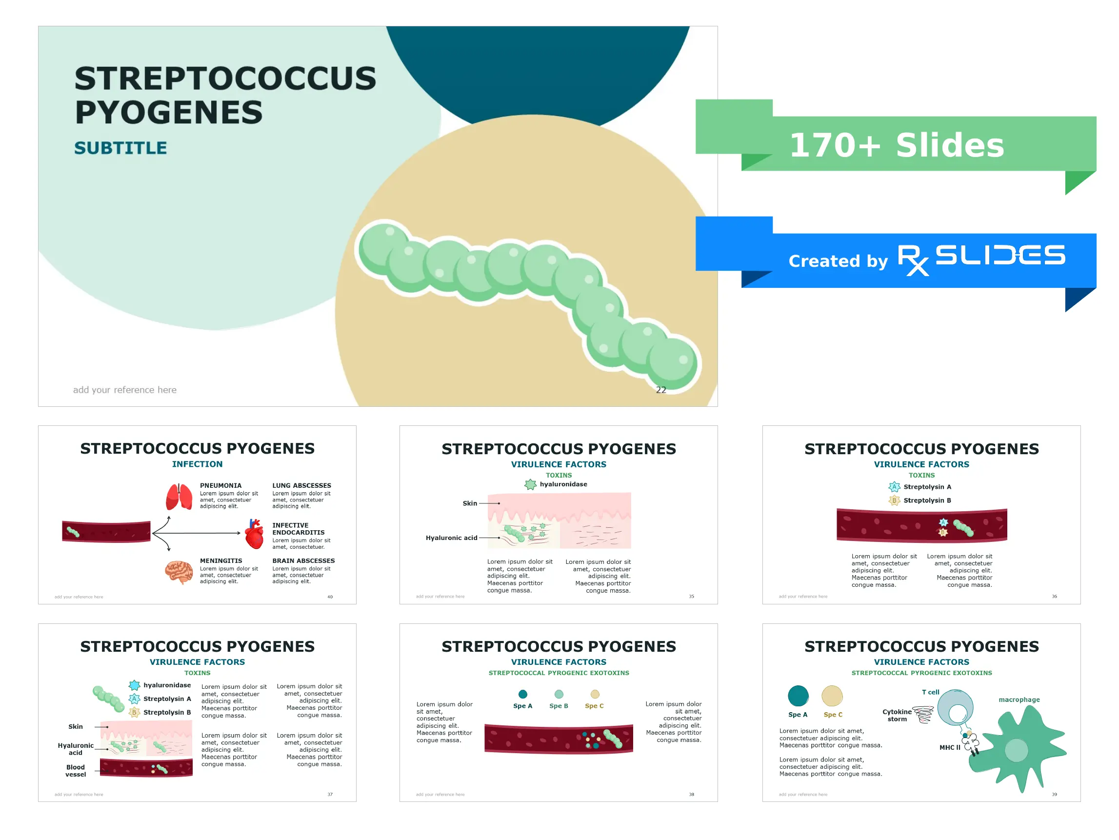 Download Bacteriology PowerPoint Template | RxSlides