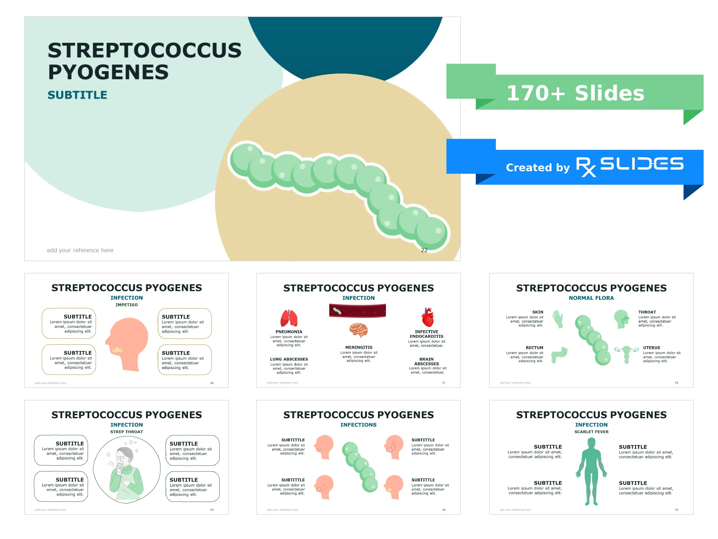 Download Bacteriology PowerPoint Template | RxSlides