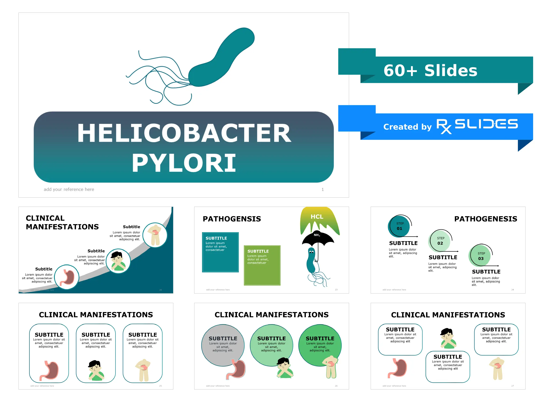 Download Helicobacter Pylori PowerPoint Template|RxSlides