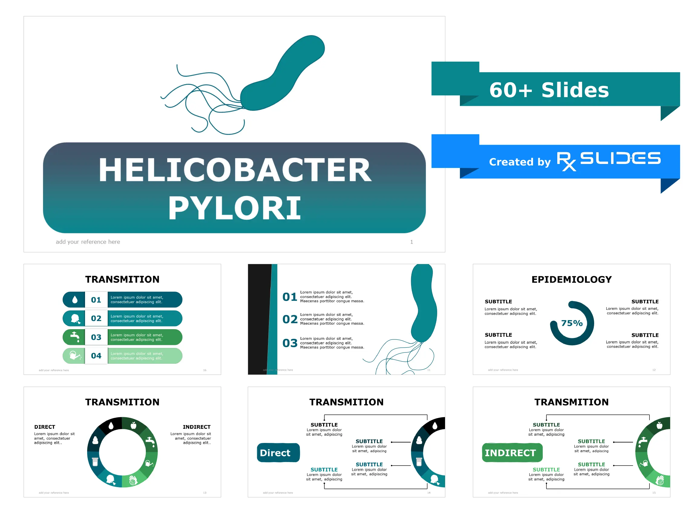 Download Helicobacter Pylori PowerPoint Template|RxSlides