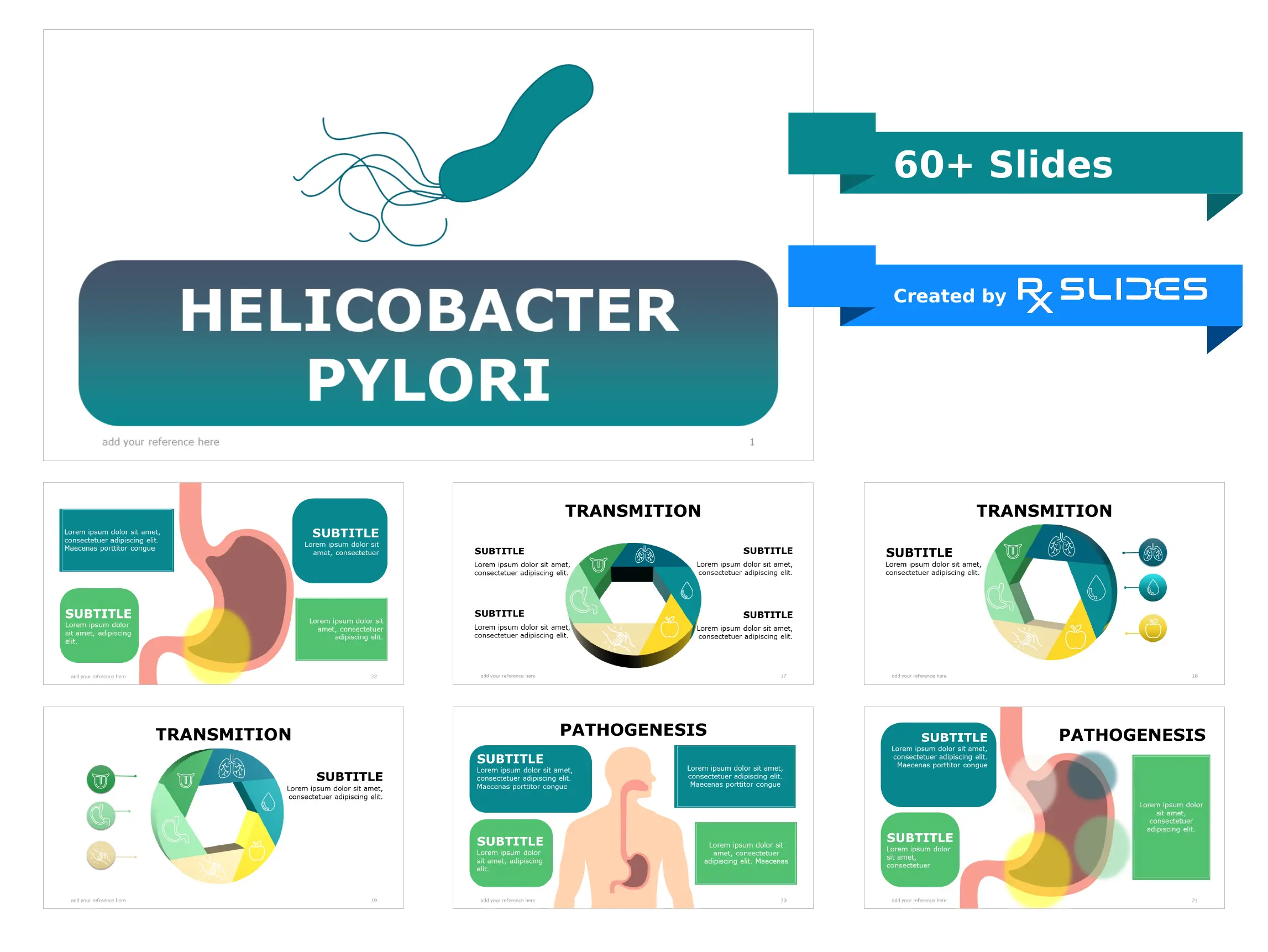 Download Helicobacter Pylori PowerPoint Template|RxSlides