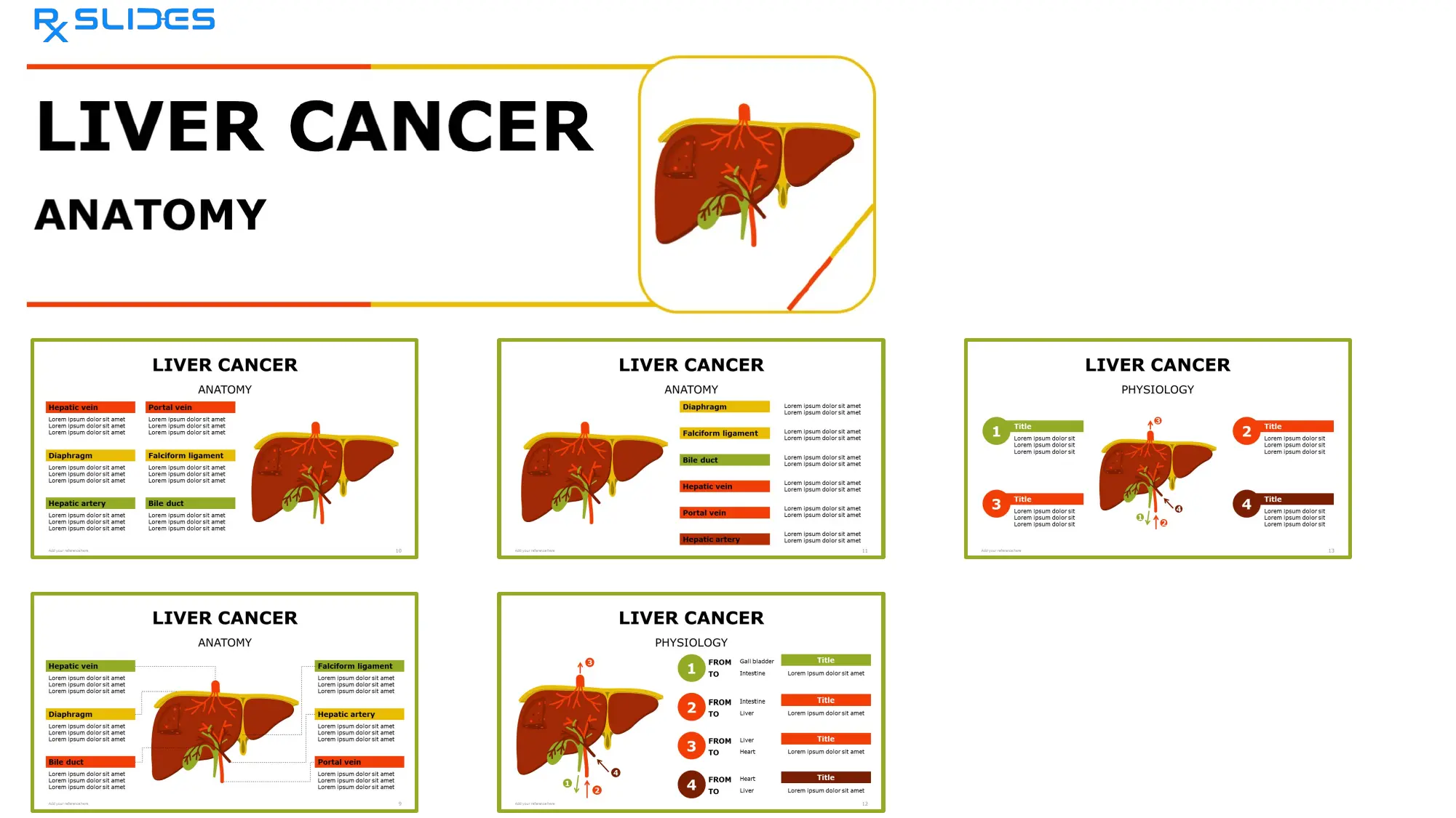 Download liver Cancer PowerPoint Template|
