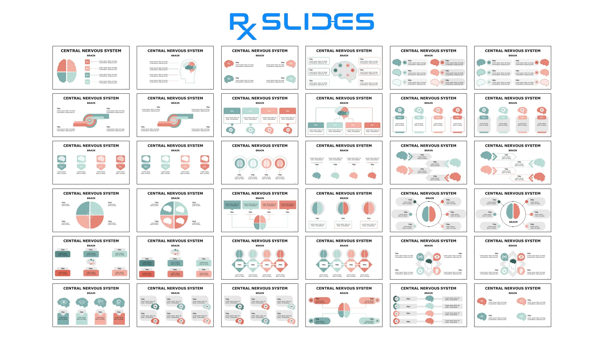 Download CNS anatomy and physiology PowerPoint Template