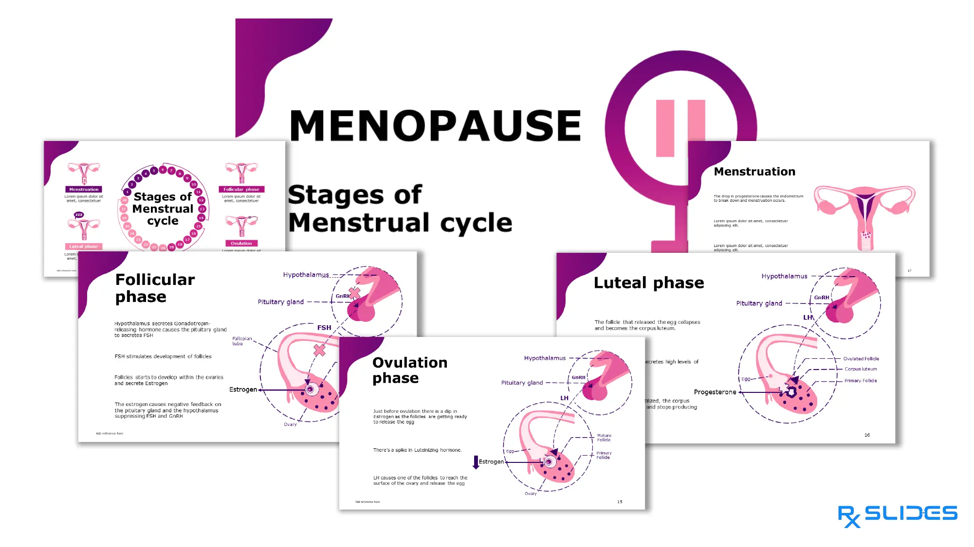 Download Menopause PowerPoint Template|RxSlides