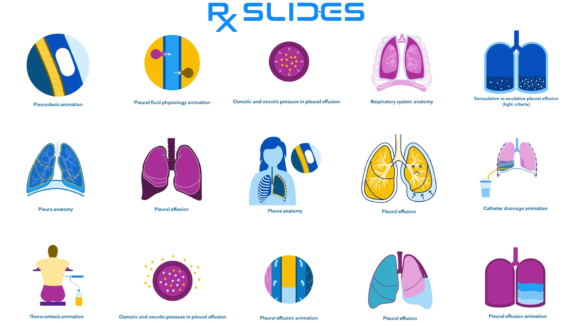 Download Pleural Effusion PowerPoint Template| RxSlides