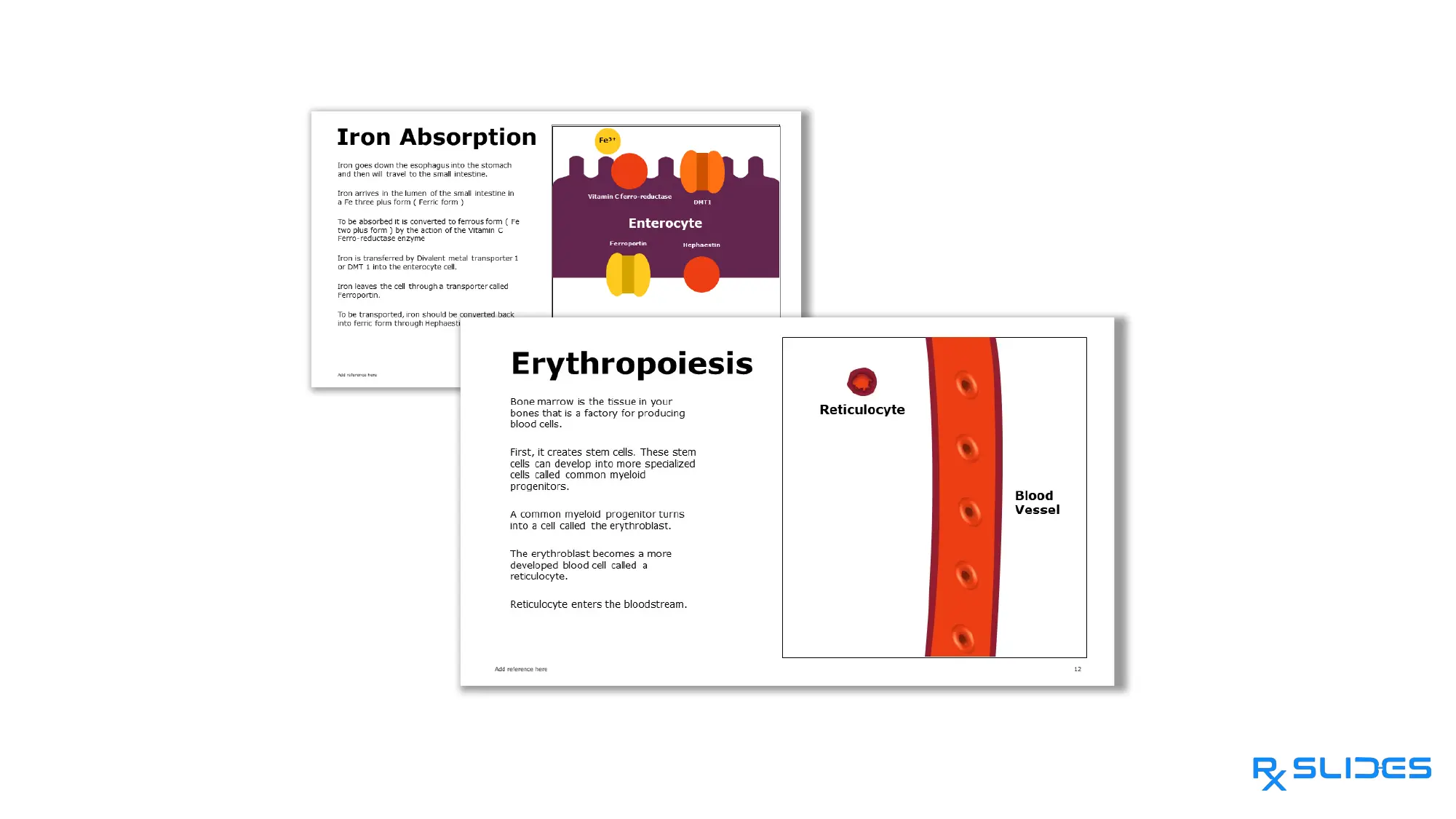 Download Iron Deficiency Anemia PowerPoint Template | RxSlides