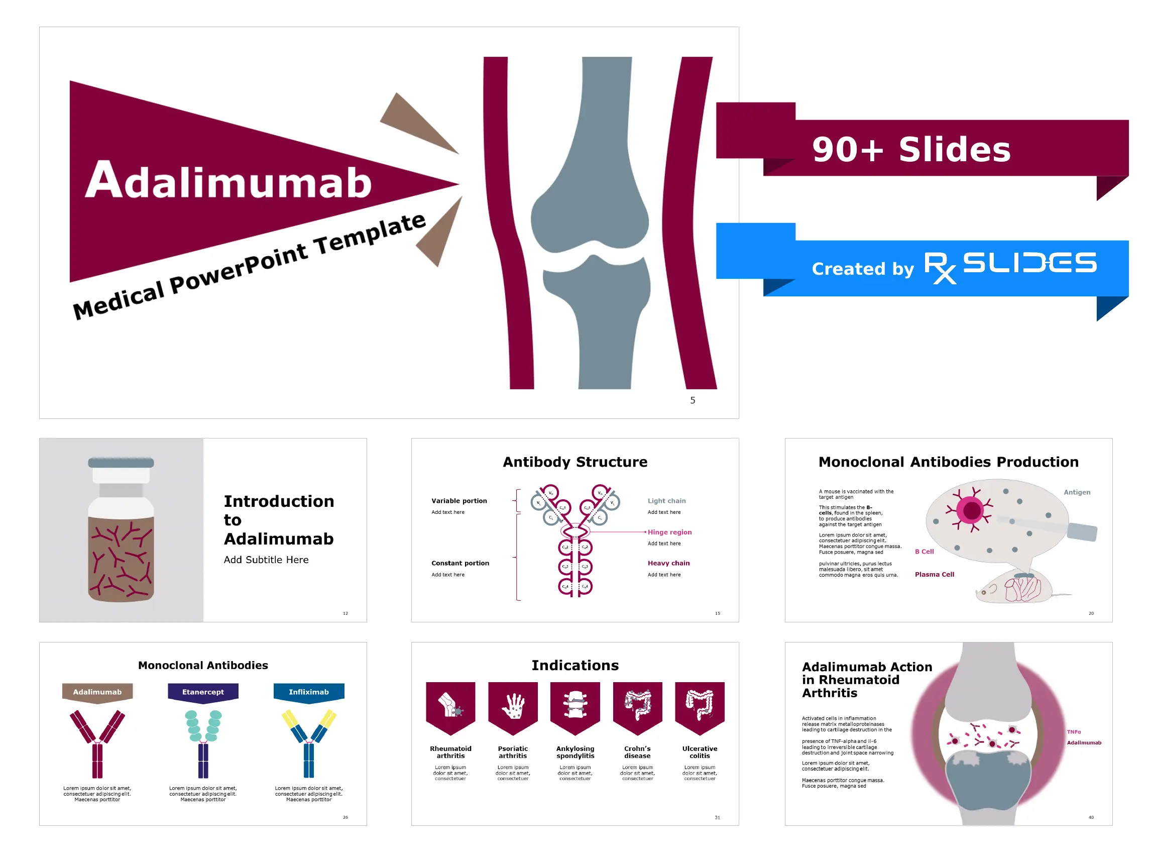 Download Adalimumab PowerPoint Template| RxSlides