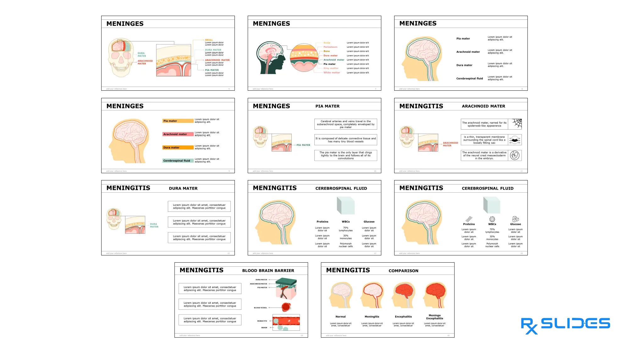 Download Meningitis PowerPoint Template| RxSlides