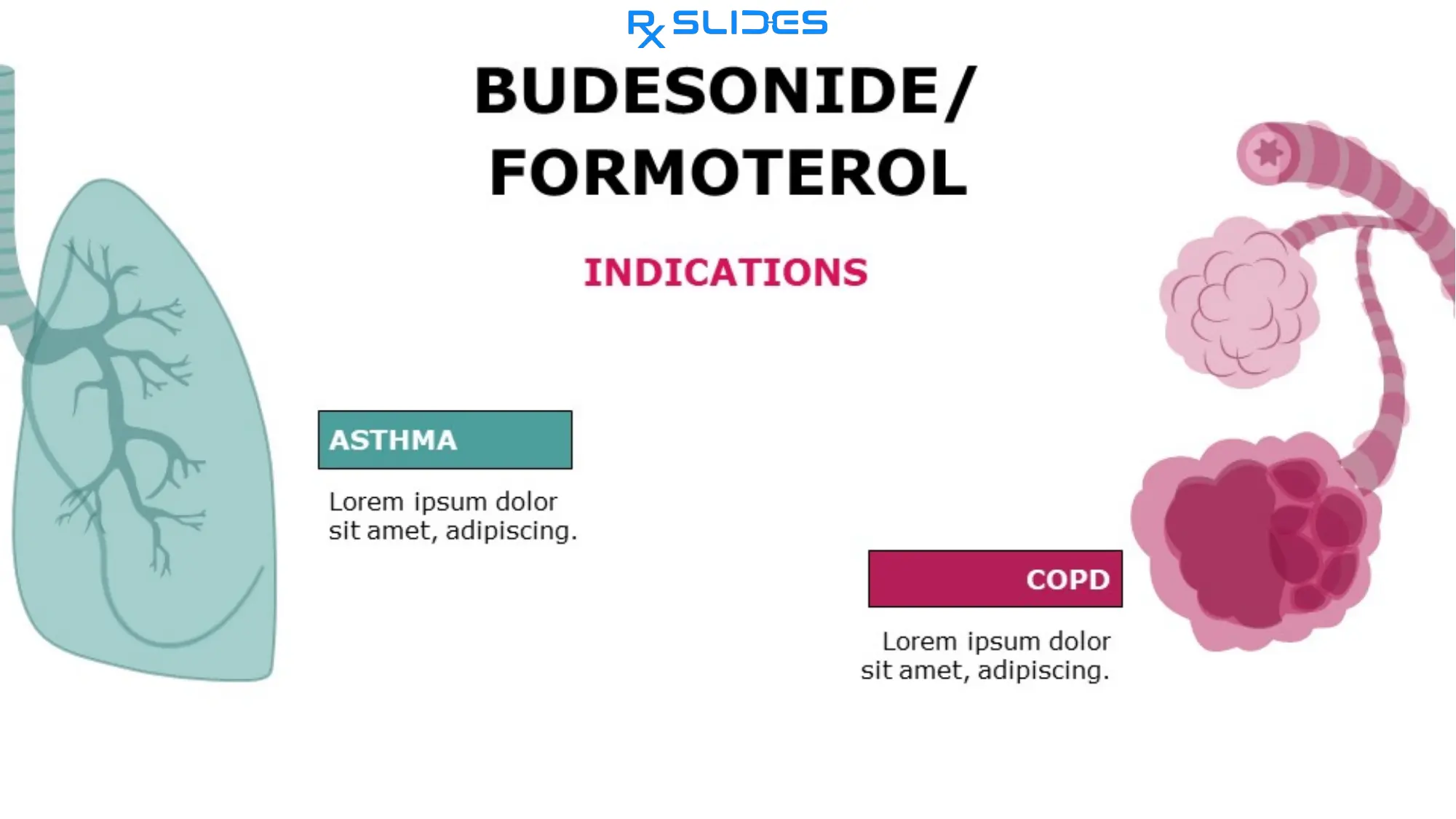 Download Budesonide Formoterol PowerPoint Template| RxSlides