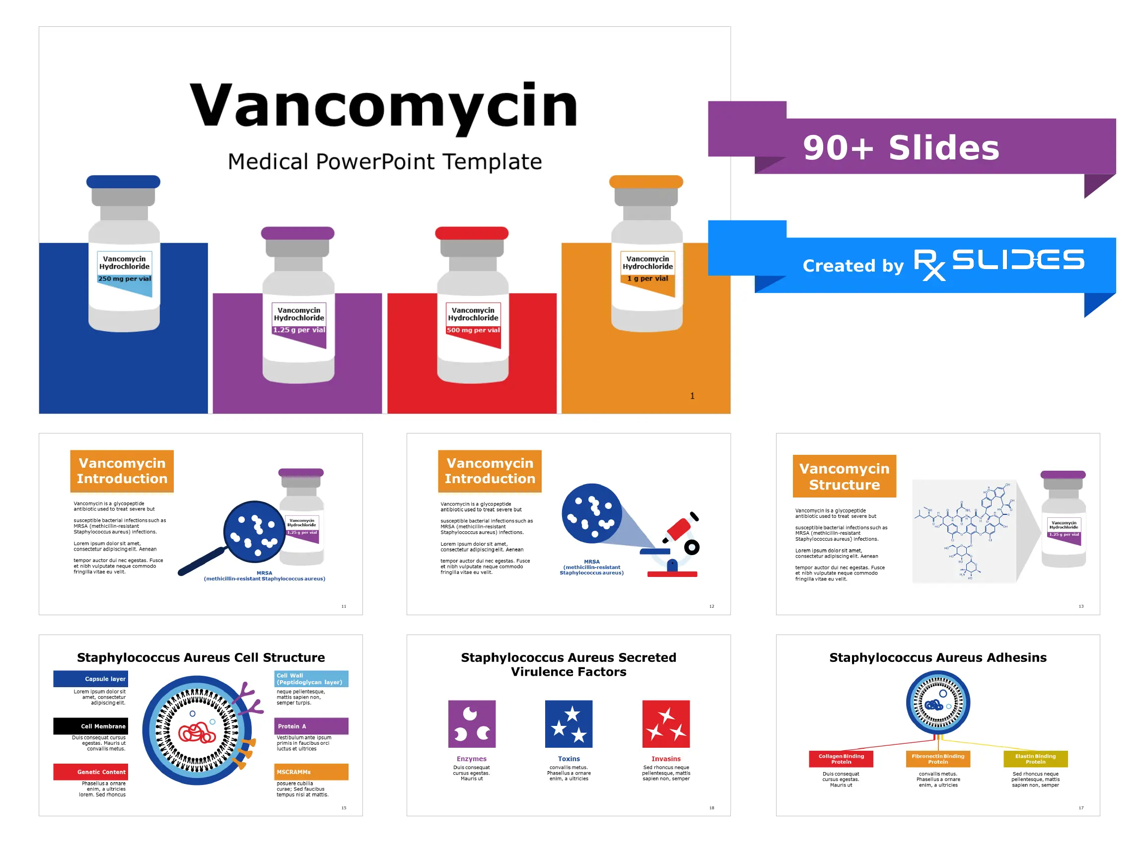Download Vancomycin PowerPoint Template | RxSlides