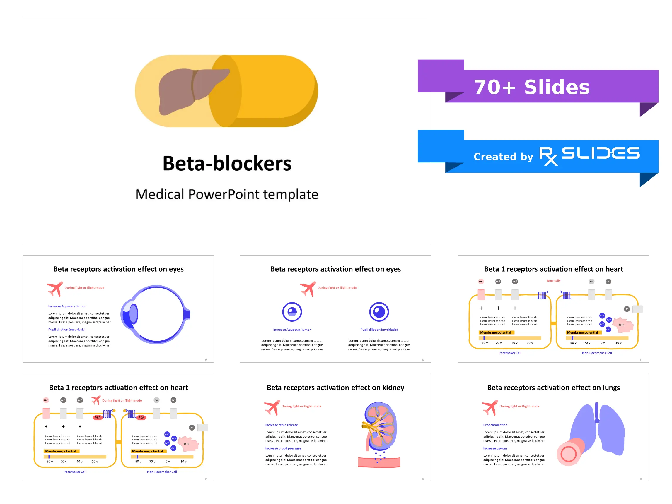 Download Beta Blockers PowerPoint Template | RxSlides