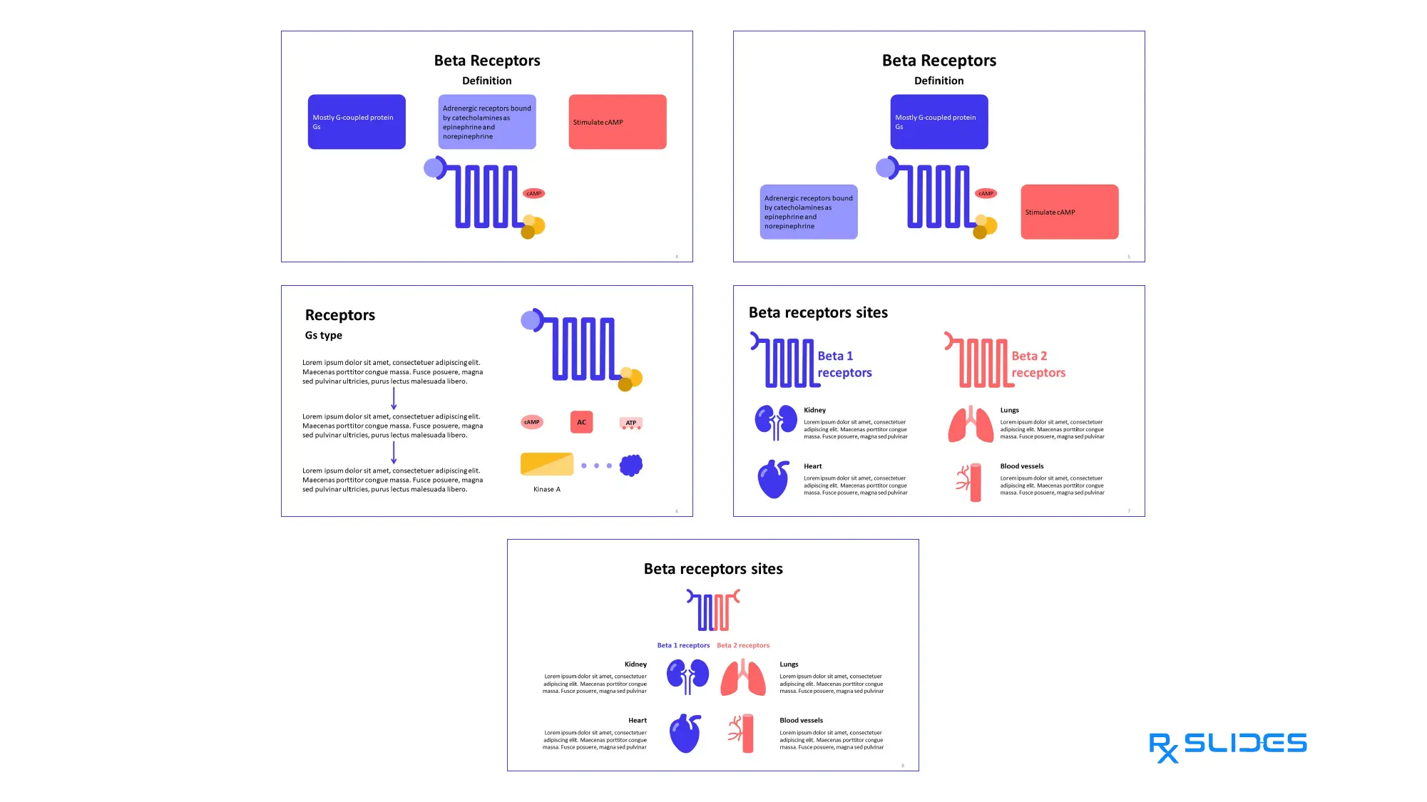 Download Beta Blockers PowerPoint Template | RxSlides