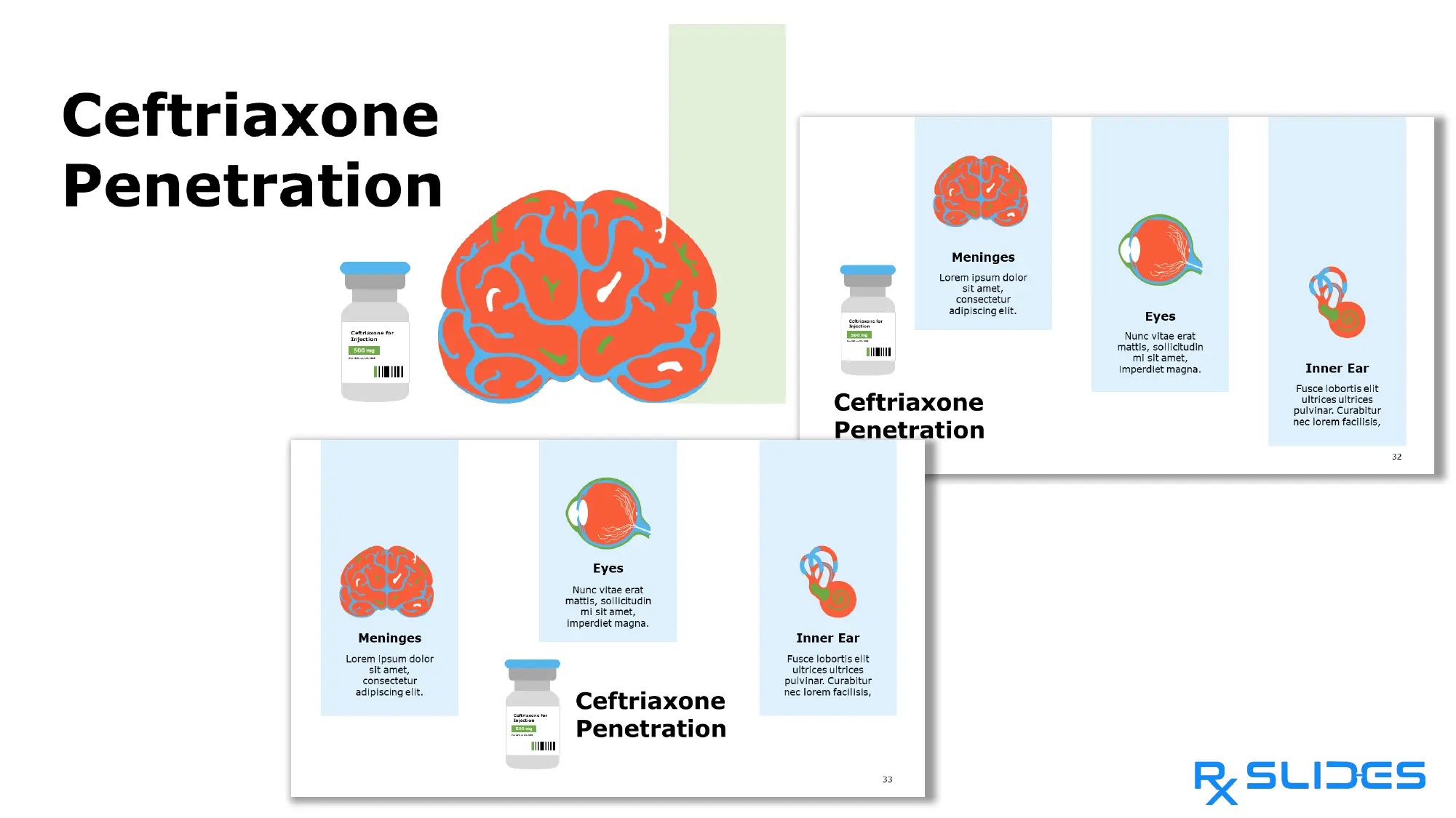 Download Ceftriaxone PowerPoint Template|RxSlides