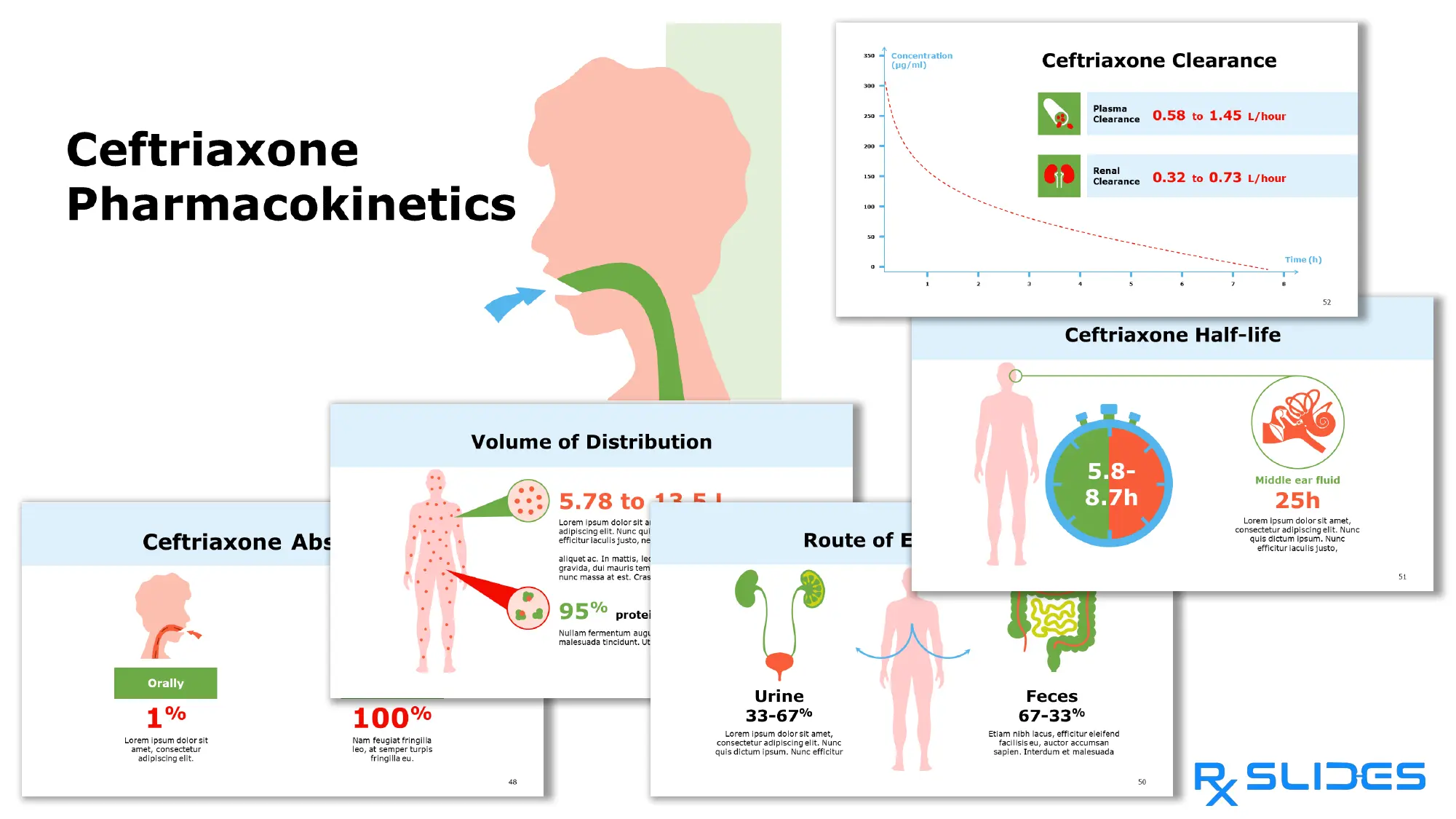 Download Ceftriaxone PowerPoint Template|RxSlides