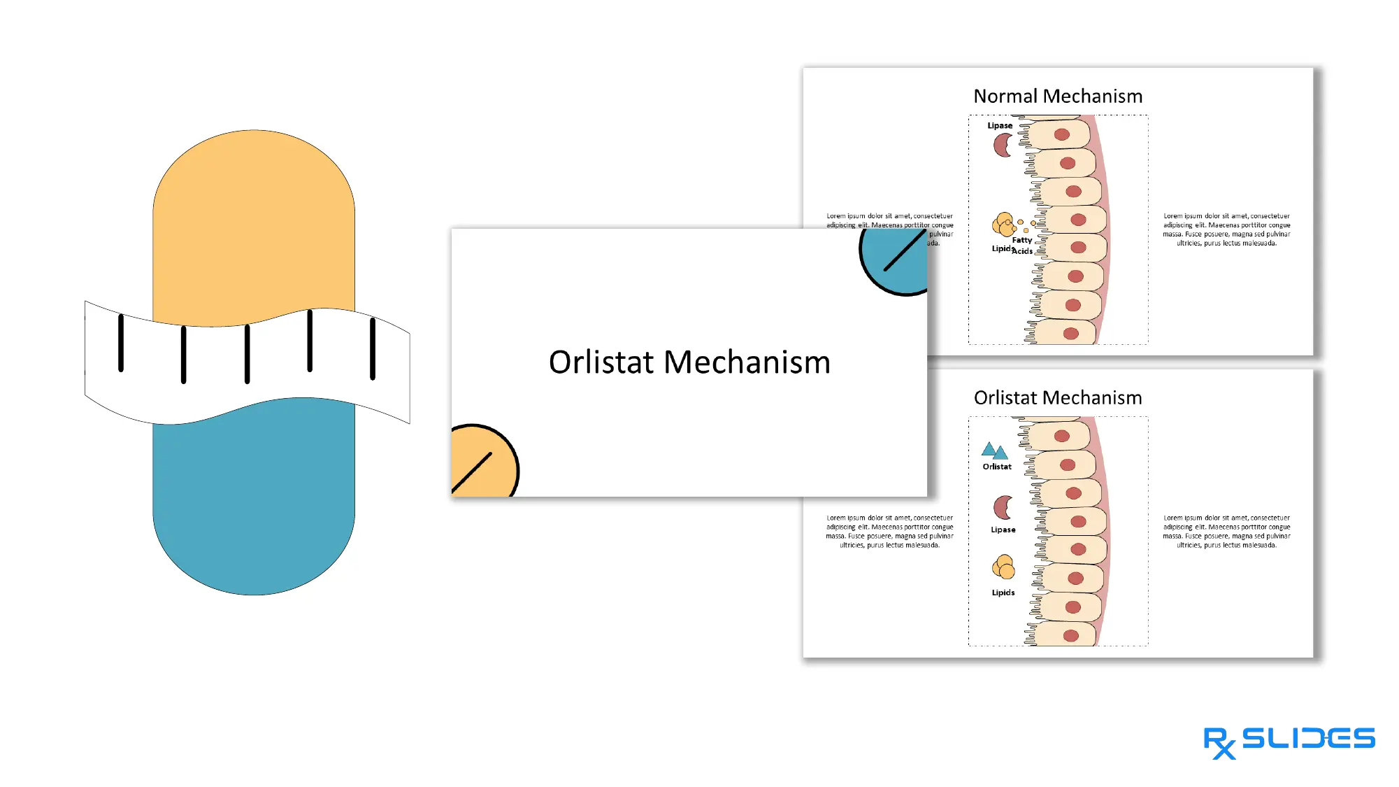 Download Orlistat PowerPoint Template| RxSlides